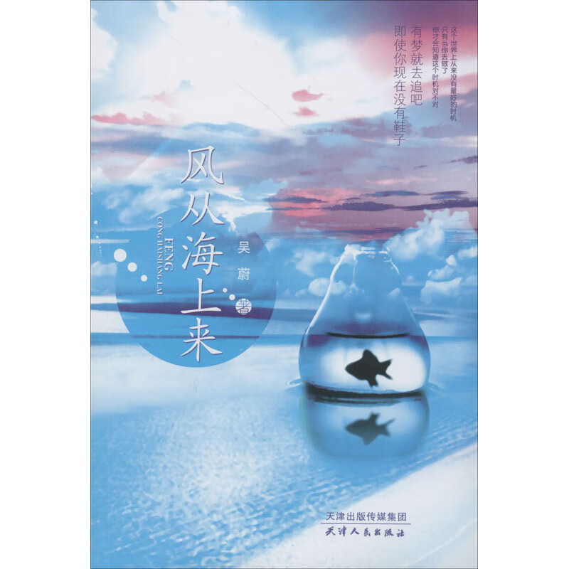 风从海上来 吴蔚 书籍