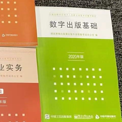出版专业基础+实务 中级一套2本 2020版 数字出版基础