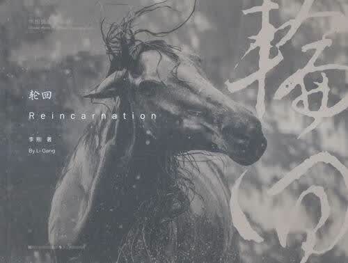 轮回【好书，下单速发】