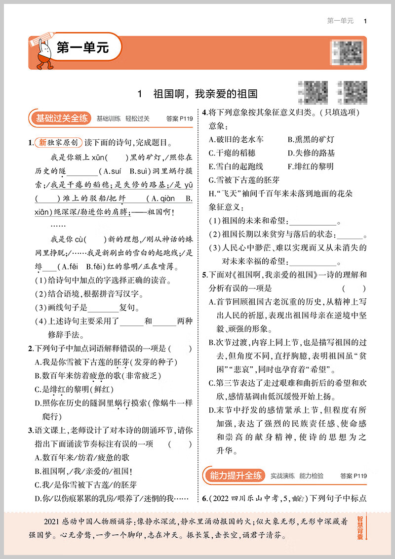 幸书2023版 曲一线同步练习册 初中同步五年中考三年模拟九年级语 九年级下 语文