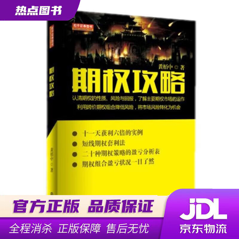 期权攻略 黄栢中 地震出版社