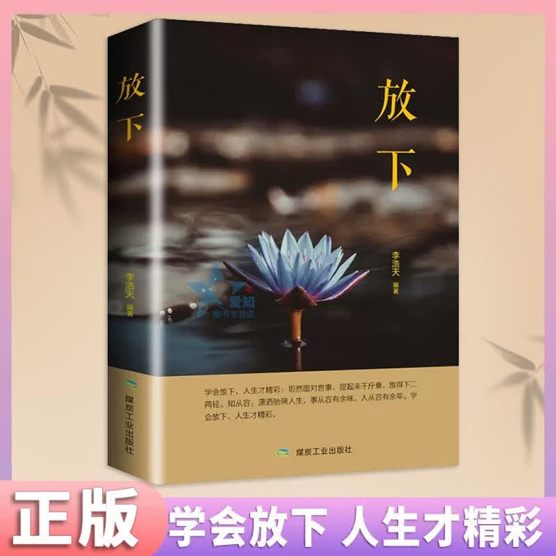 乌云后面依然是灿烂的晴天每天能量金句+减压全套2册书籍 枕边抚慰心灵小句 精英的文案宝典停止内耗启迪心灵感悟人生励志正能量名人名言书经典语录 【单本】放下