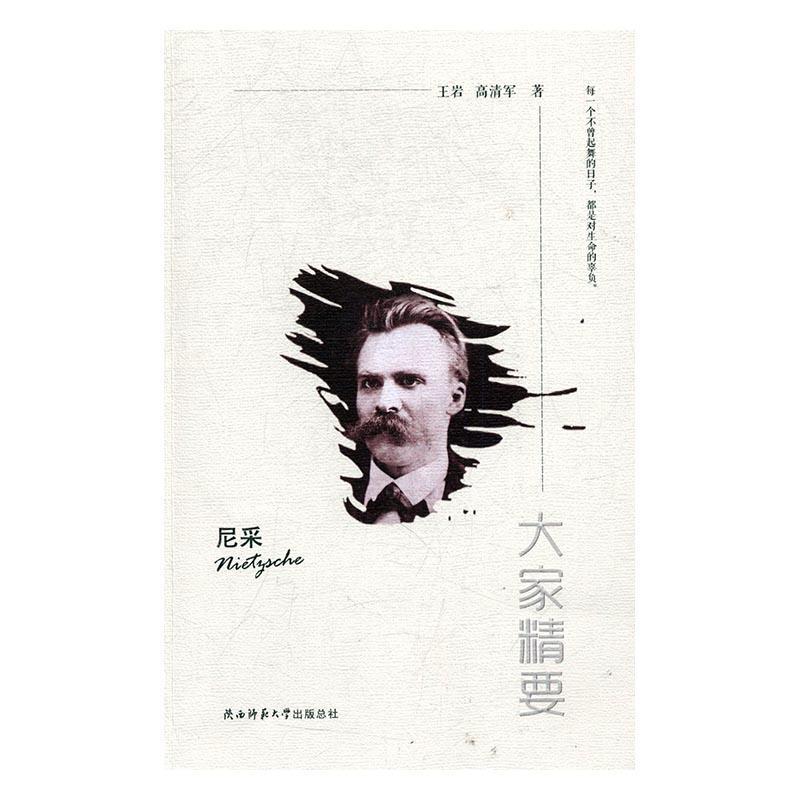尼采王岩高清军陕西师范大学出版社9787561373118/传记书籍
