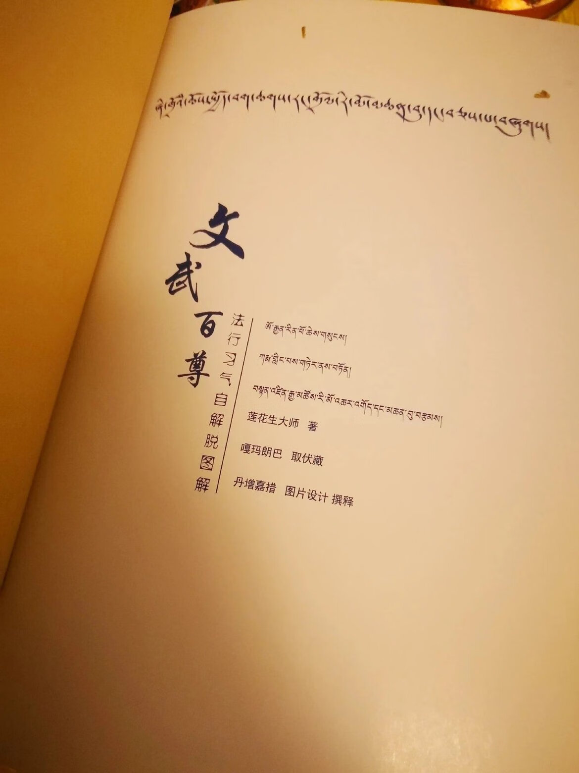 文武百尊收藏品之佳品图解之稀有收藏宝贝(稀有收藏品)精装