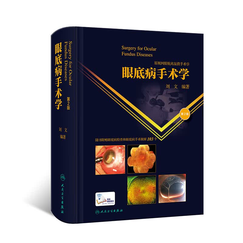 眼底病手术学（第2版/配增值）《现货速发》
