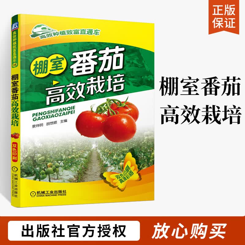 棚室番茄高效栽培 高效种植番茄书籍西红柿栽培技术大全书籍番茄种植技术书农业种植技术 番茄