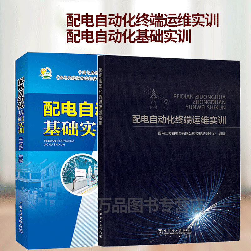 2册配电自动化终端运维实训+配电自动化基础实训 配电自动化配电网DTU\/FTU装置调试主站终端设备联调典型故障消缺方法视频教程书籍