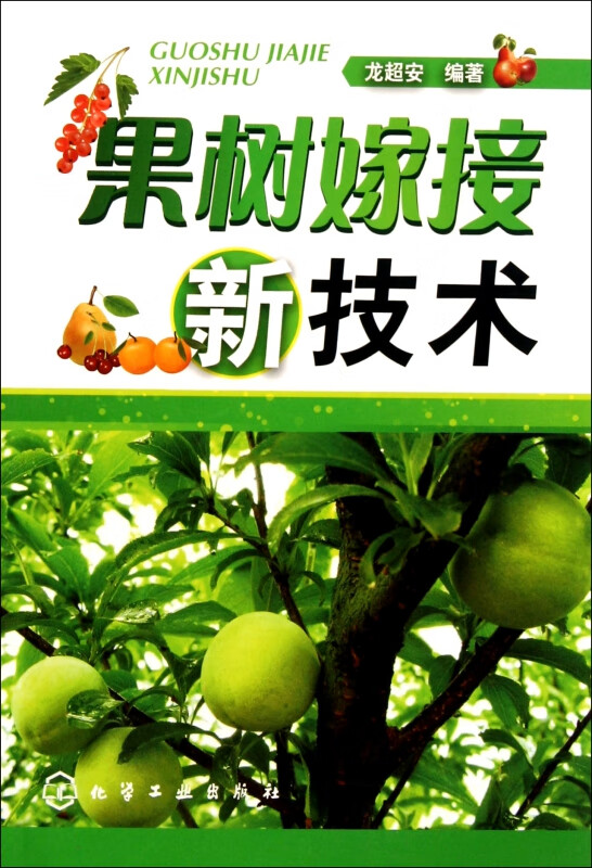 果树嫁接新技术
