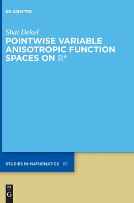 Pointwise Variable Anisotropic Function Spaces on
