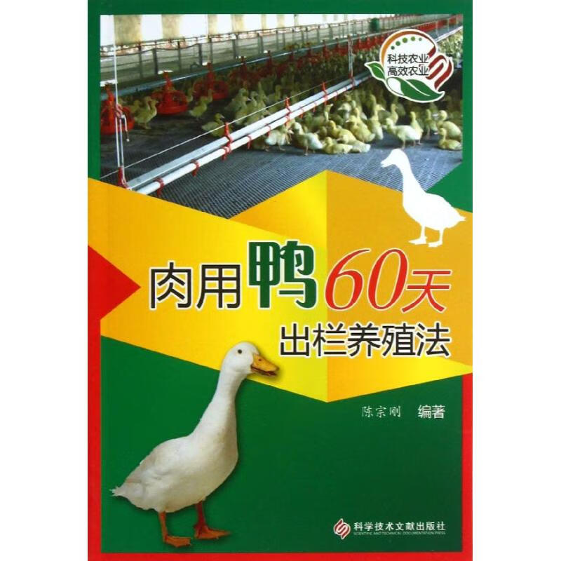肉用鸭60天出栏养殖法