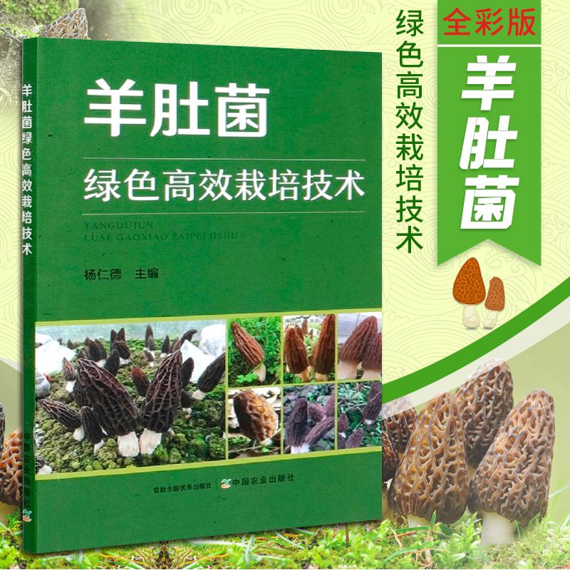 羊肚菌绿色高效栽培技术 名贵珍稀菇菌种植书 羊肚菌栽培菌种制作栽培方法病虫害防治 羊肚菌种植 羊肚菌