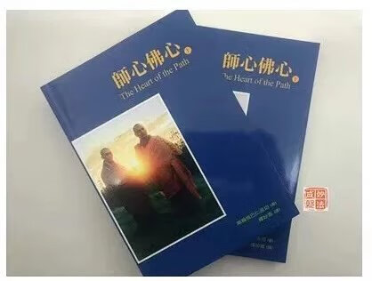 师心收藏品之佳品佛心之稀有收藏宝贝(稀有收藏品)16开
