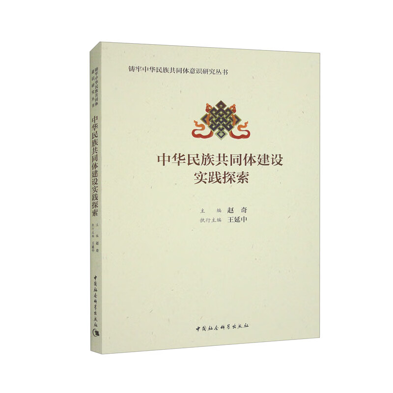 中华民族共同体建设实践探索