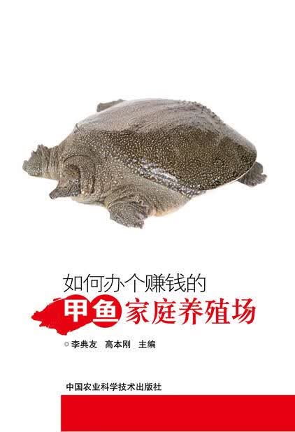 如何办个赚钱的甲鱼家庭养猪场