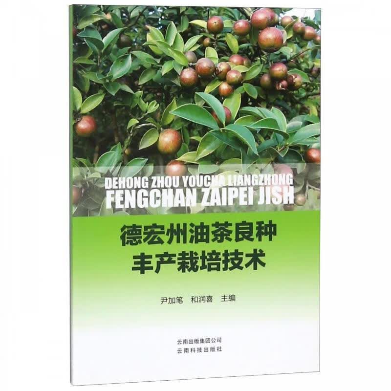 德宏州油茶良种丰产栽培技术