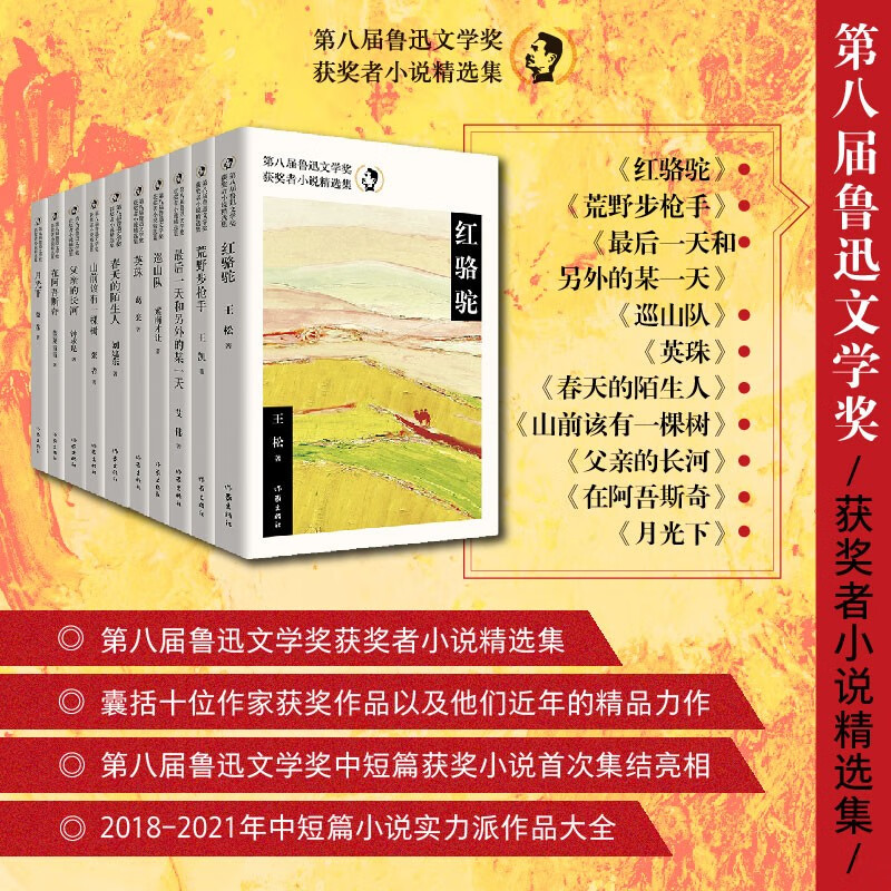 第八届鲁迅文学奖获奖者小说精选集平装全10册