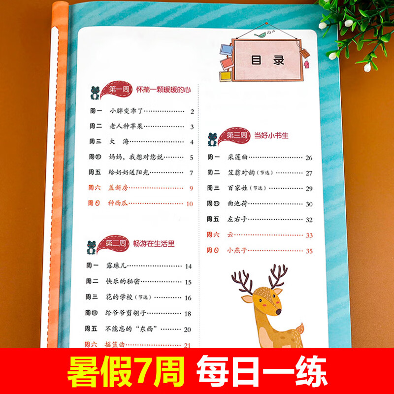 一年级下册暑假阅读 一升二阅读理解训练 小学暑假衔接语文练习题每日一练 人教版下 升二年级课外阅读1升2练