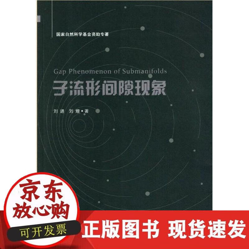 【直发】 子流形间隙现象 刘进,刘煜 9787567305694 国防科技大学出版社