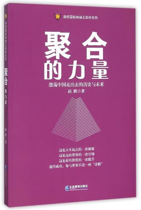【少量笔记 择优发货 保证】聚合的力量-游荡中国走出去的历史与未来赵鹏企业管理出版社