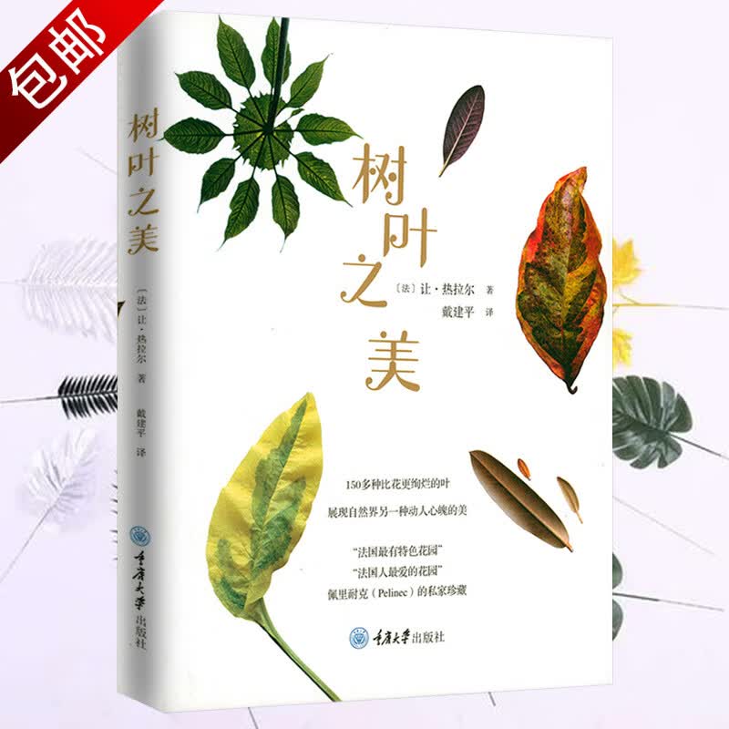 生物世界自然笔记 树叶之美 精装 定价99