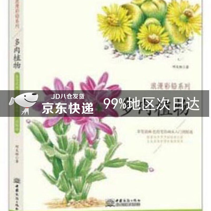 多肉植物/浪漫彩铅系列