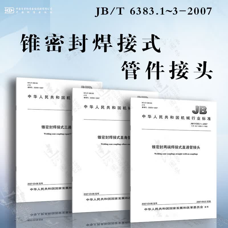 锥密封焊接式管件接头JB/T6383.1~3-2007