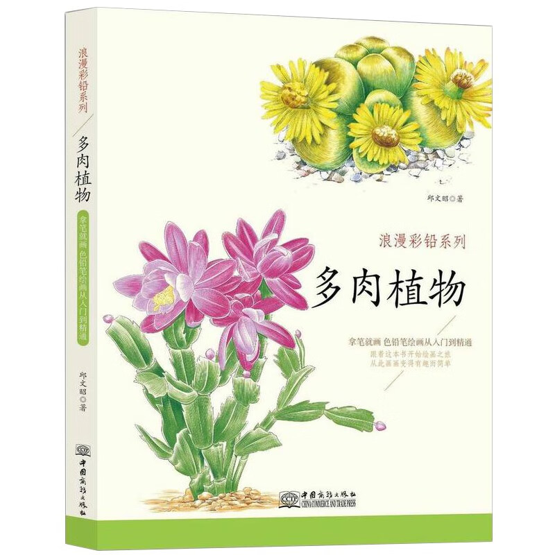 多肉植物  浪漫彩铅系列 彩色铅笔绘画从入门到精通 自学彩铅画入门教程书