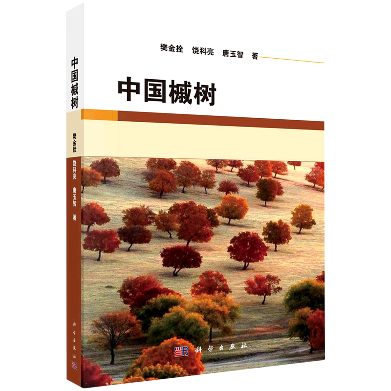 中国槭树