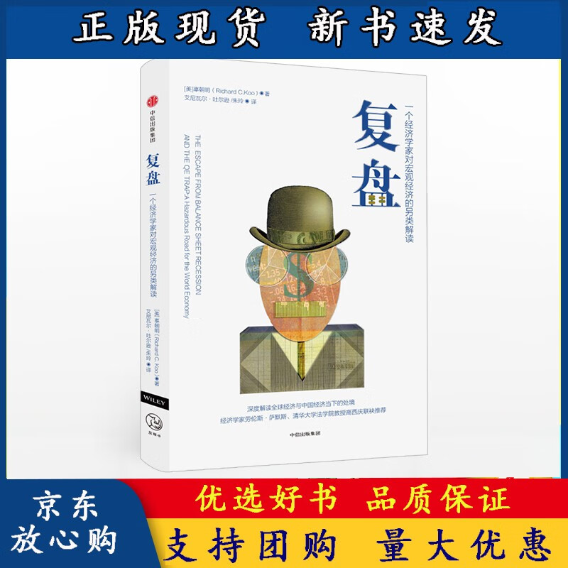 复盘 一个经济学家对宏观经济的另类解读 辜朝明 著 金融经济理论类 图书