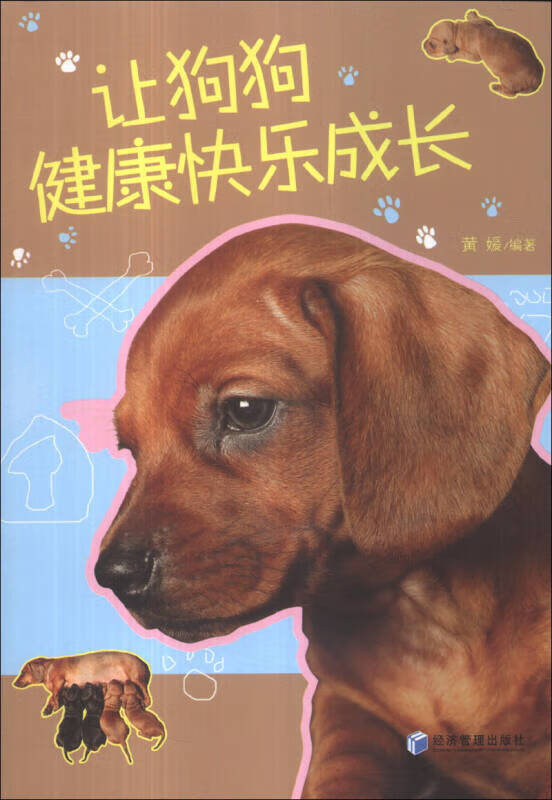 让狗狗健康快乐成长【特惠】