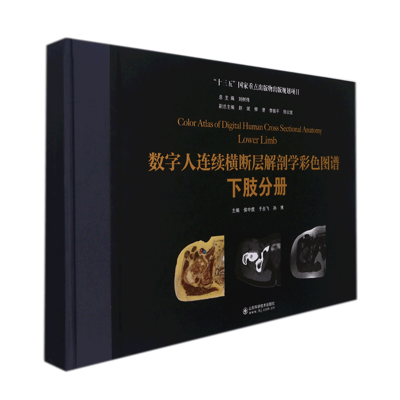 数字人连续横断层解剖学彩色图谱(下肢分册)(精)