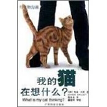 我的猫在想什么？