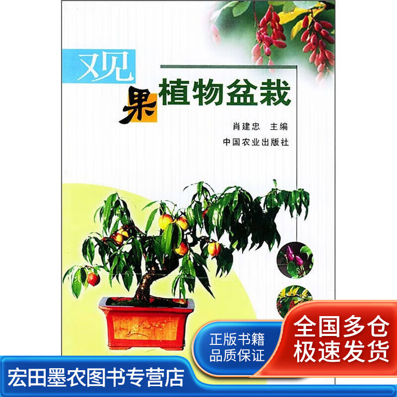 观果植物盆栽【好书】