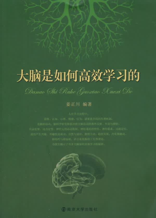 大脑是如何高效学习的