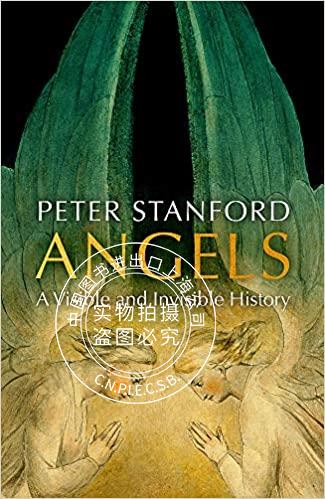 现货 天使 英文原版 Angels: A History
