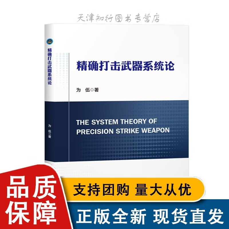 打击武器系统论