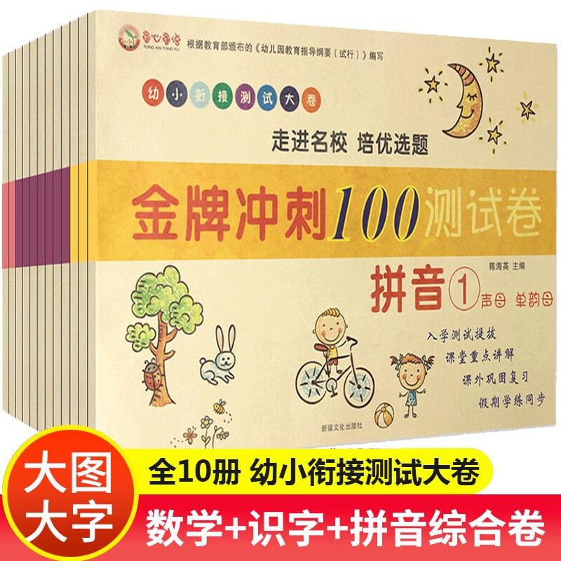 全10册幼小衔接一日一练测试大卷冲刺100测试卷 完全整合教材学前冲刺100分语言数学拼音