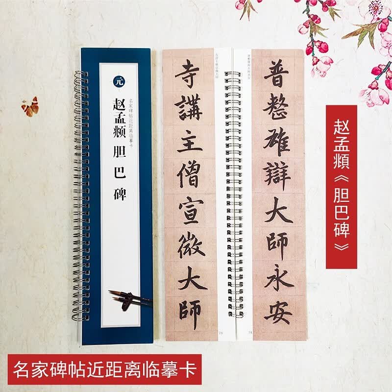 赵孟頫胆巴碑 名家碑帖近距离临摹字卡 128页原帖全文 赵体楷书书法毛笔练字帖 赵孟頫字帖附简体旁注 崇文书局