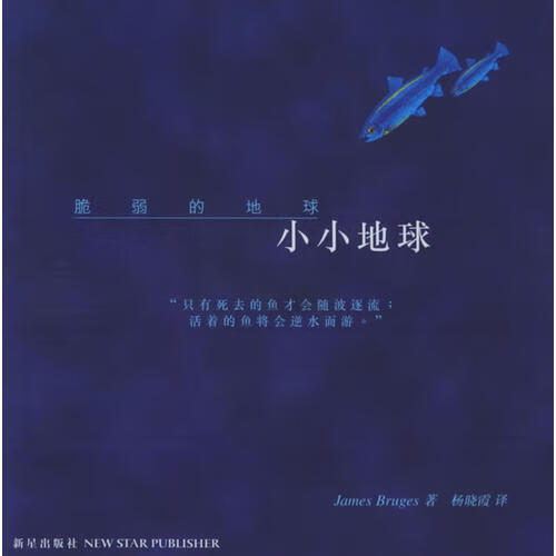 小小地球【精选】