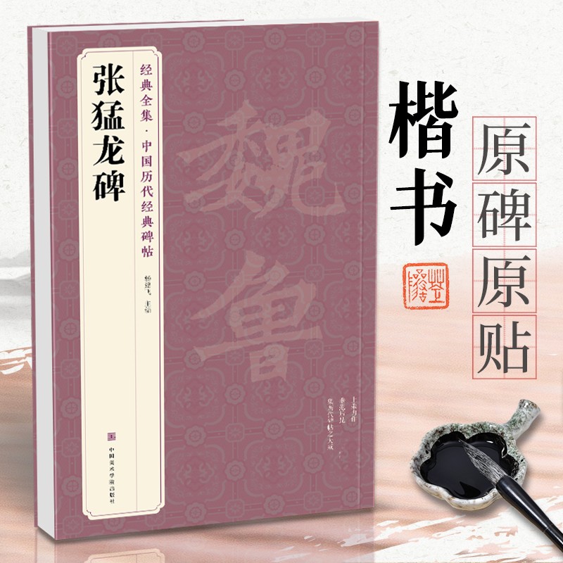 《张猛龙碑》中国历代碑帖精粹译文简体注释北魏楷书毛笔字帖书法成人学生临摹帖练古帖练字中国美院出版社