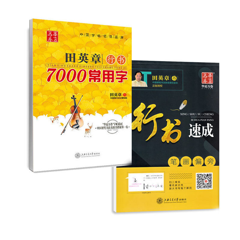 田英章书行书字帖钢笔行书基础训练笔画偏旁学生行楷入门速成教程 笔画+行书7000/送书法本+练字笔