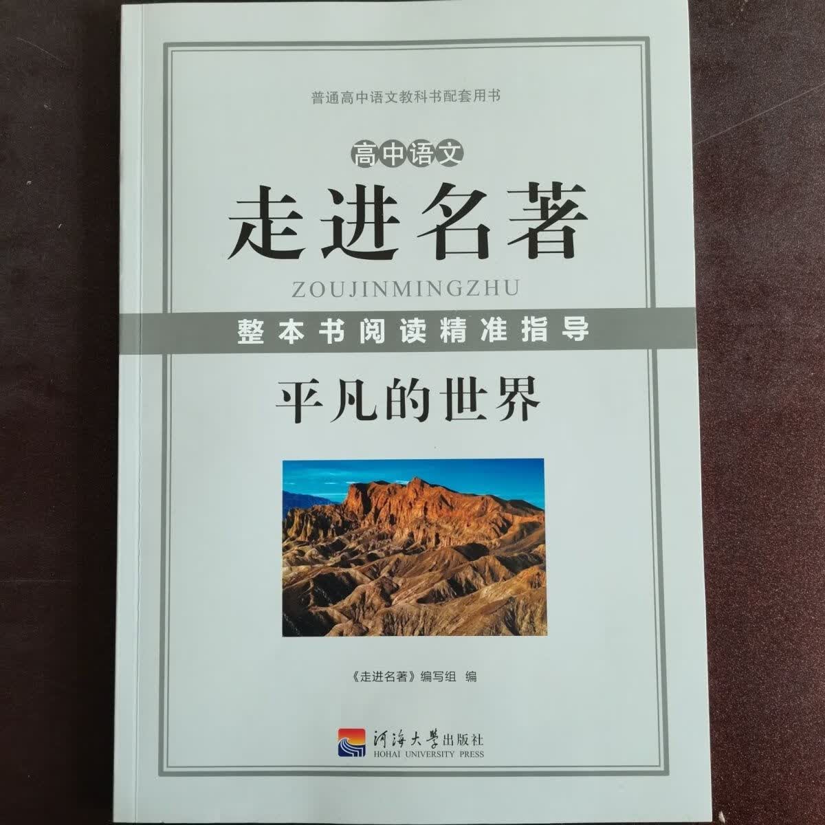 2024走进名著整本书精准指导 平凡的世界