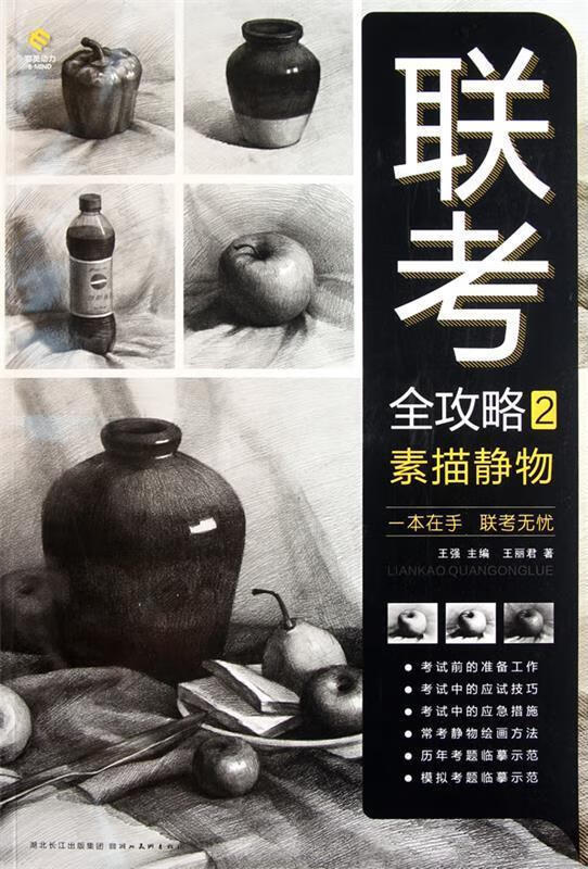 联考全攻略 2 --素描静物 王丽君著【书】