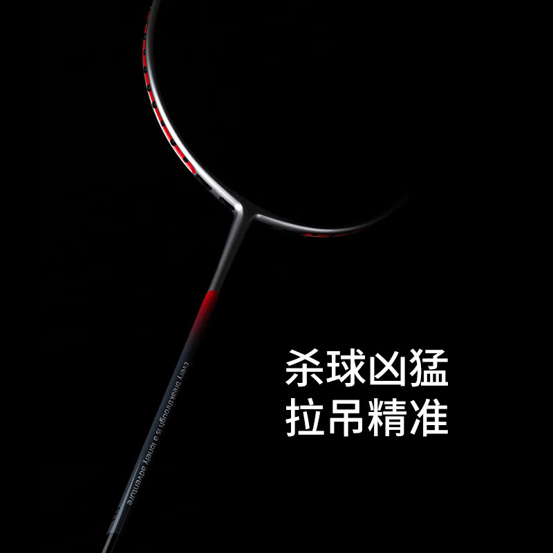 道特（dooot）全碳素羽毛球拍单拍纳米级超轻速度型专业比赛超强进攻球拍G2pro 太空银3U（穿线版）-京东-618/双十一/双11-京东 ...