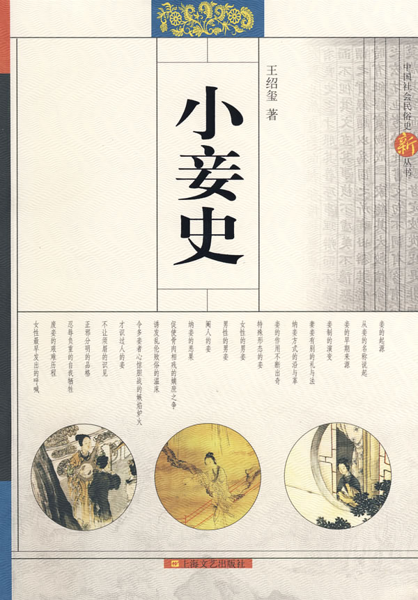 上新 小妾史