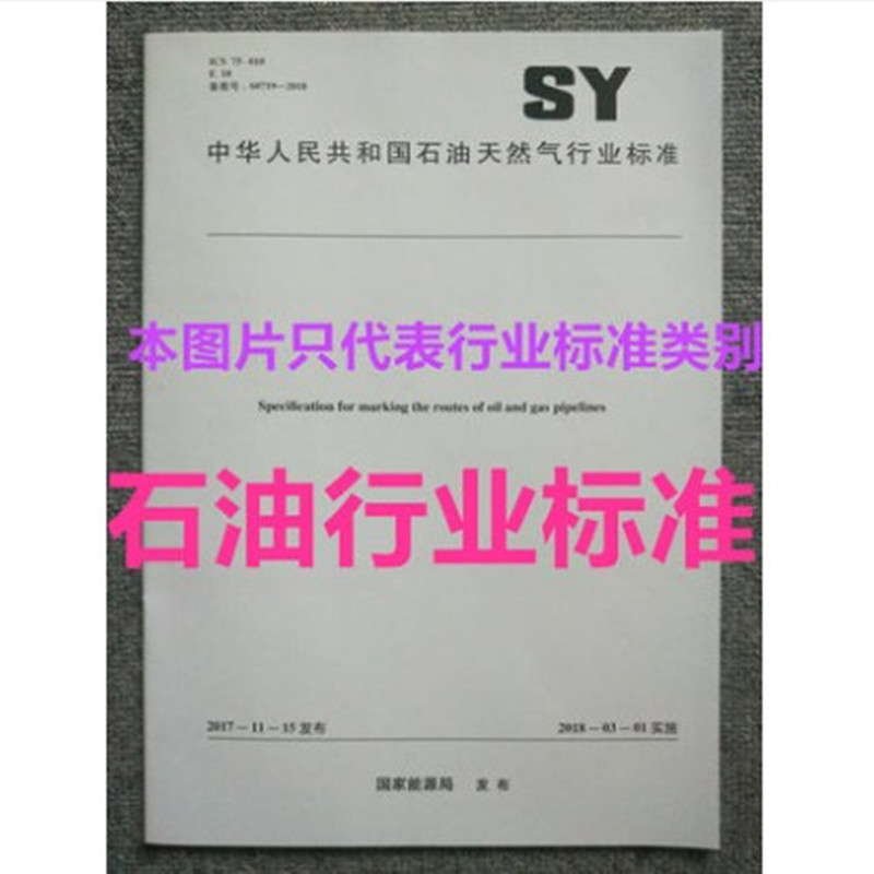 SY/T 5171-2020 陆上石油物探量规范
