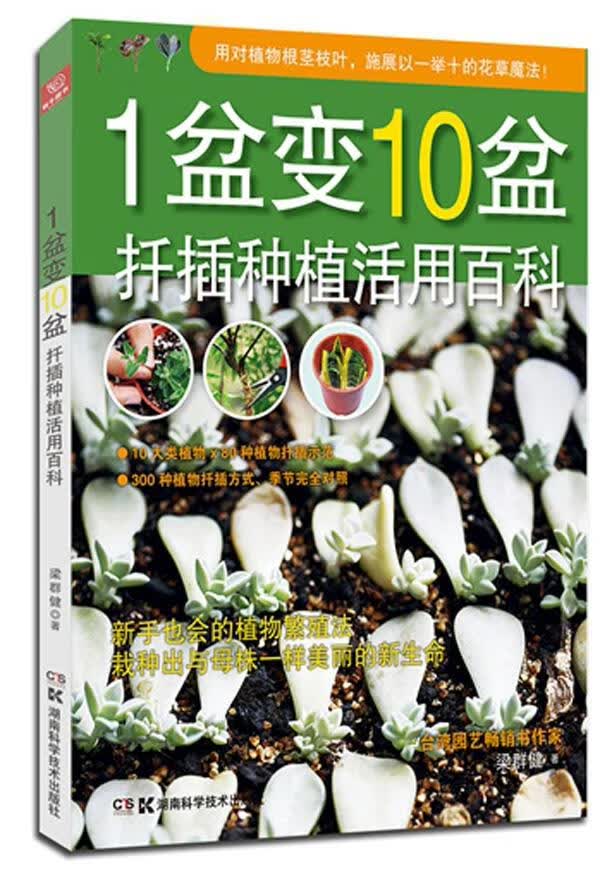 1盆变10盆:扦插种植活用百科