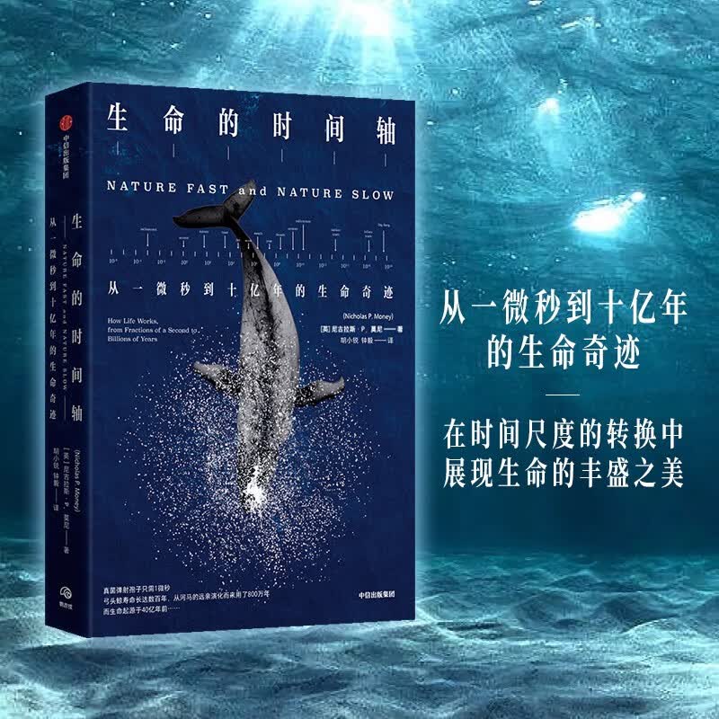 生命的时间轴  用时间去理解生命  尼古拉斯·P. 莫尼 著  中信出版