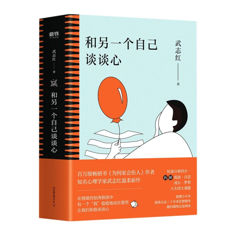 和另一个自己谈谈心 共4册 畅销书《为何家会伤人》作者武志红新作 心理励志书籍