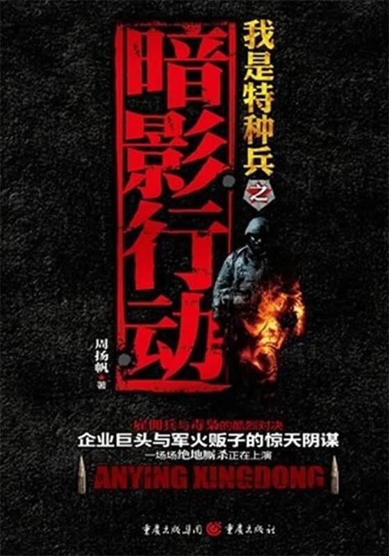 暗影行动【，放心购买】
